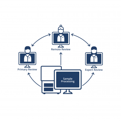 CellaVision® Peripheral Blood Application | CellaVision